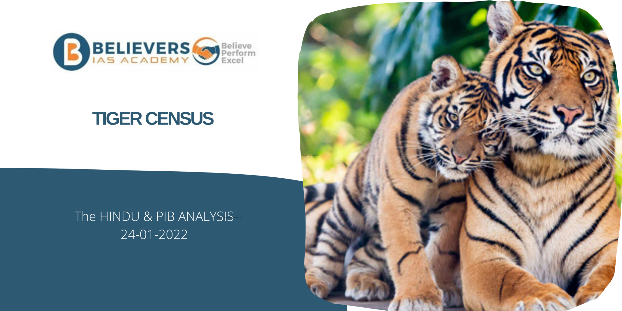 Tiger Census - Believers IAS Academy