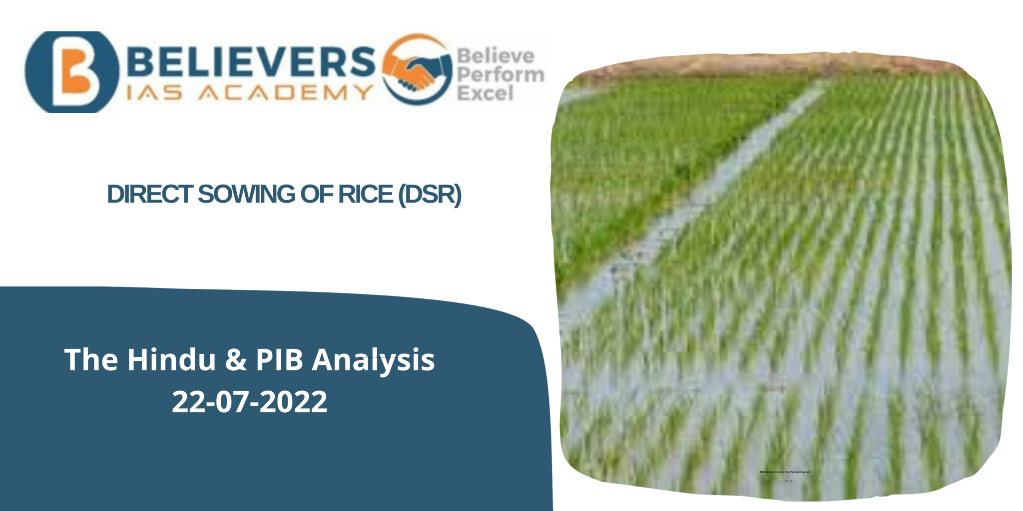 Direct Sowing of Rice (DSR) - Believers IAS Academy