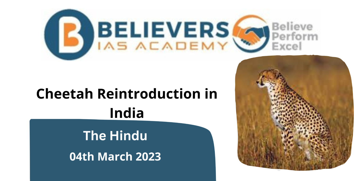 Cheetah Reintroduction in India: Explained - Believers IAS Academy