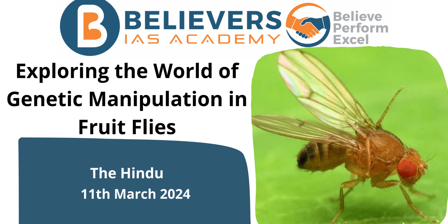 Exploring the World of Genetic Manipulation in Fruit Flies - Believers ...